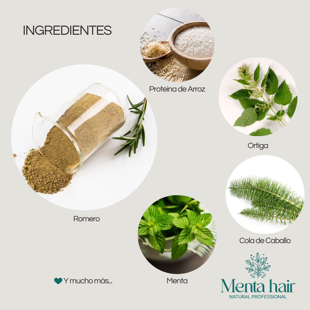 Shampoo Elixir De Romero X550ml – MENTA HAIR